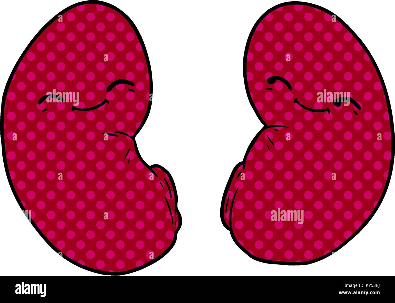 Kidneys artwork Stock Vector Images - Alamy