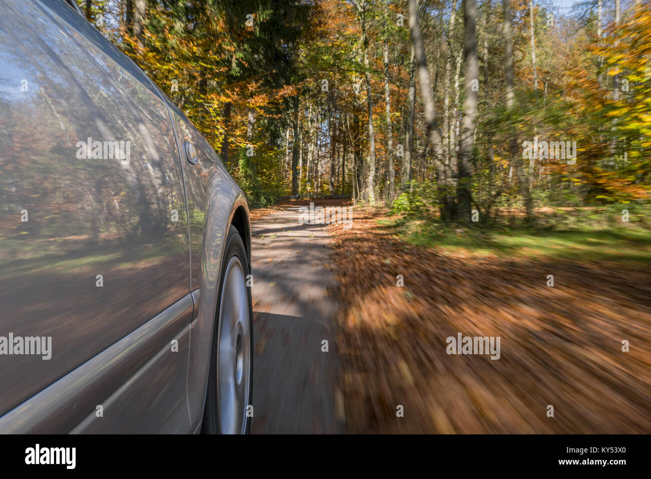 Car driving on a street in autumn Stock Photo - Alamy