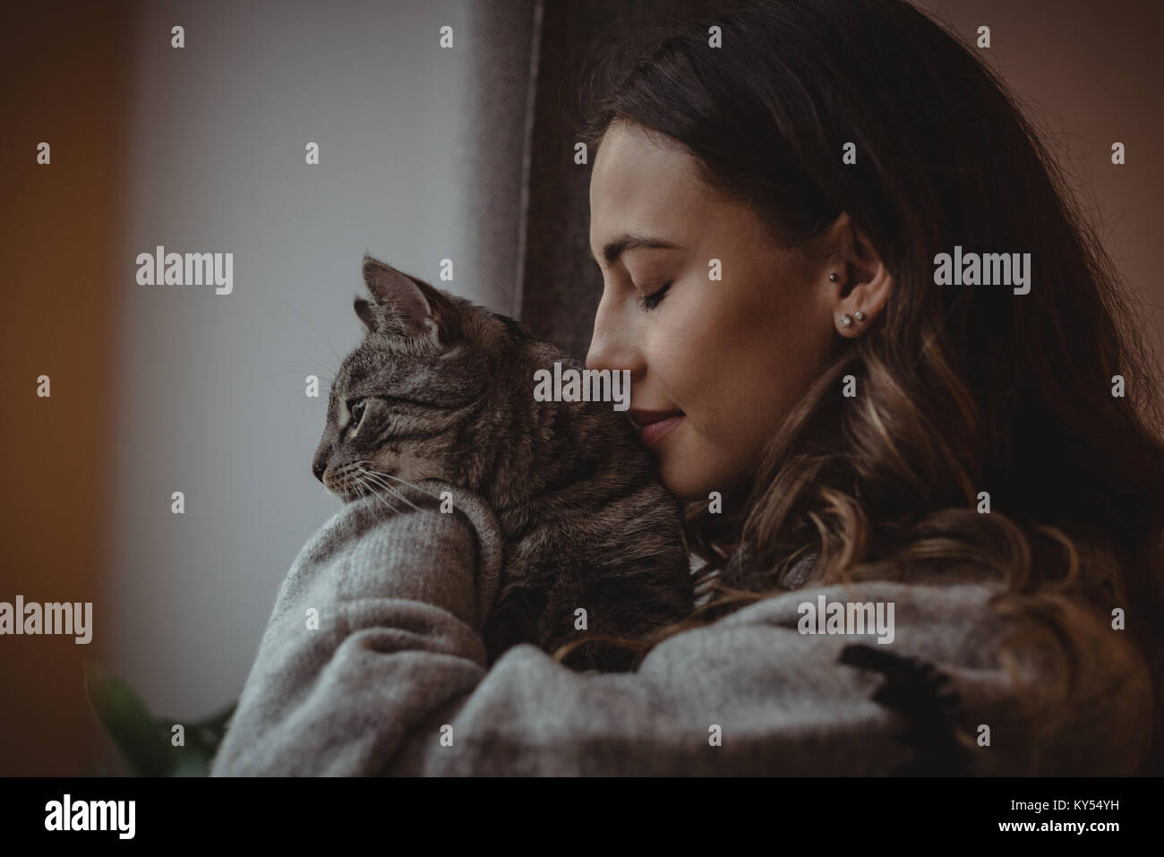 Most beautiful cat hi-res stock photography and images - Alamy