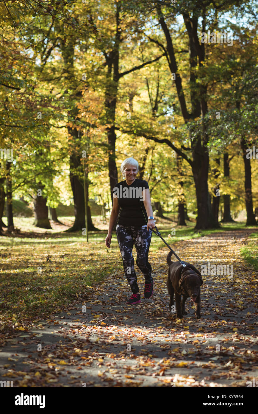 Senior woman walking dog hi-res stock photography and images - Alamy