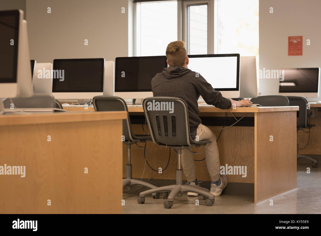 Rear view of teenage girl studying in computer classroom Stock Photo ...