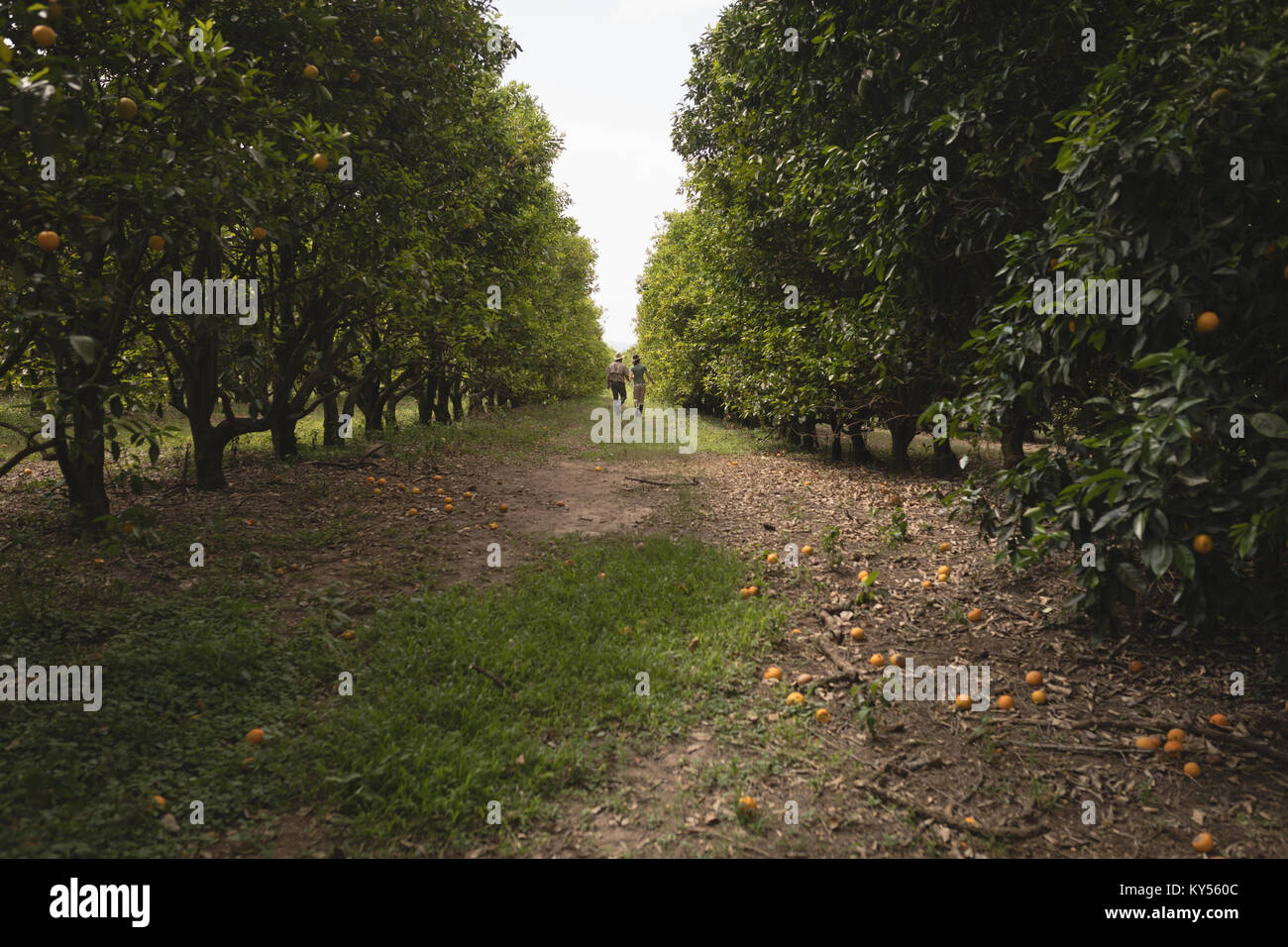 Orange Farm South Africa High Resolution Stock Photography and Images ...
