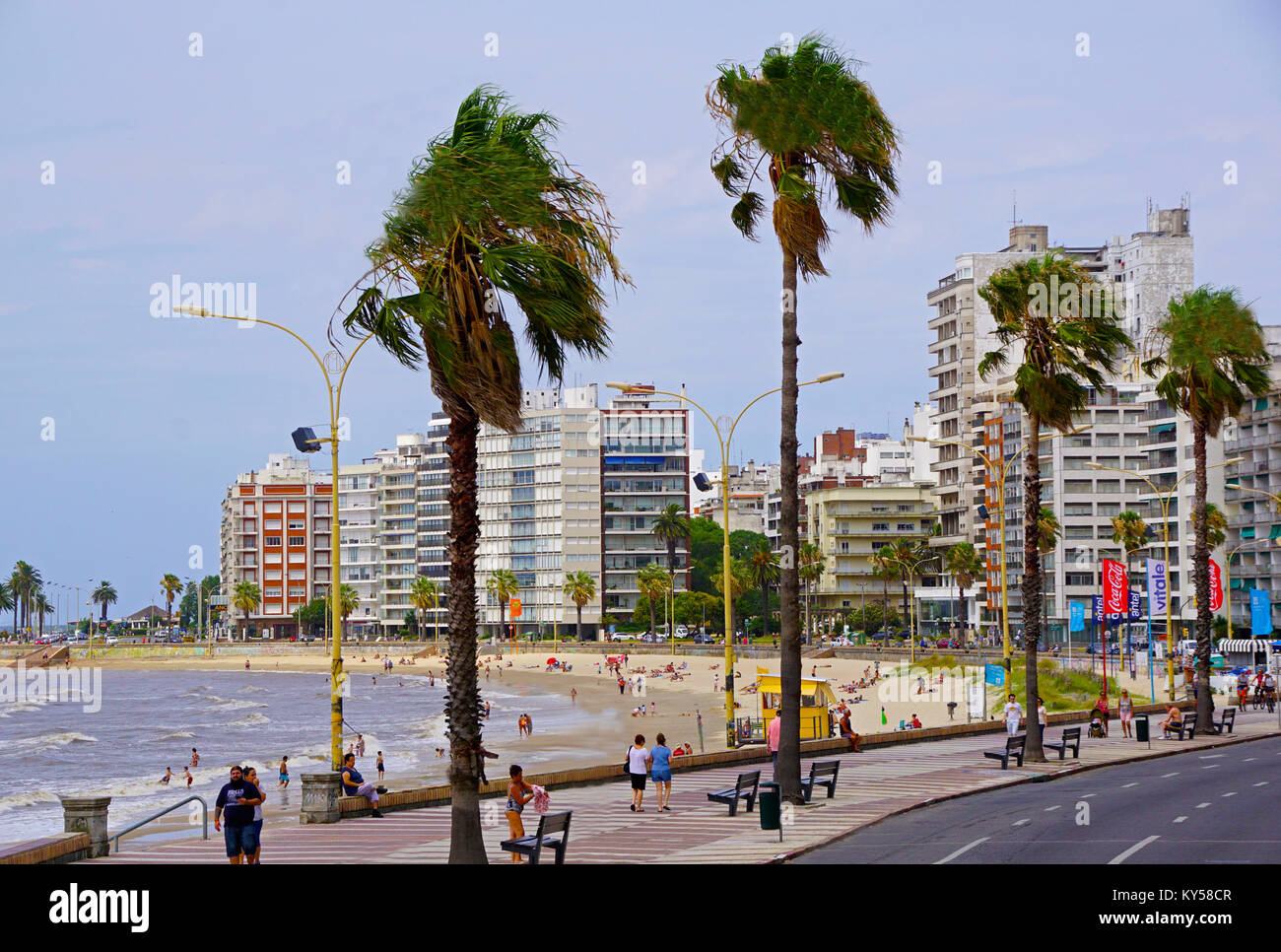 High rise buildings along Playa Pocitos in Montevideo, Uruguay Stock ...