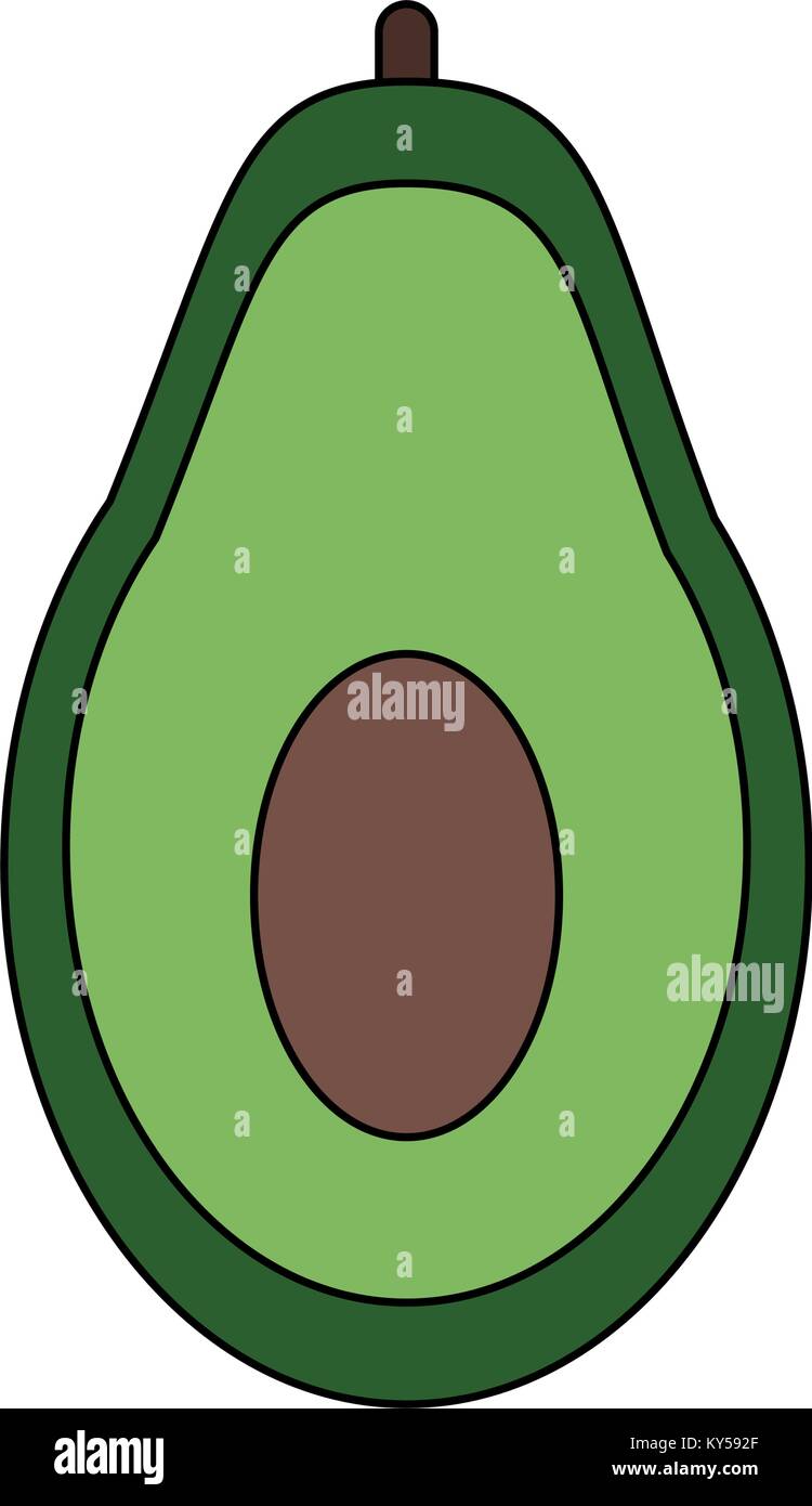 Avocado half cut Stock Vector Image & Art - Alamy