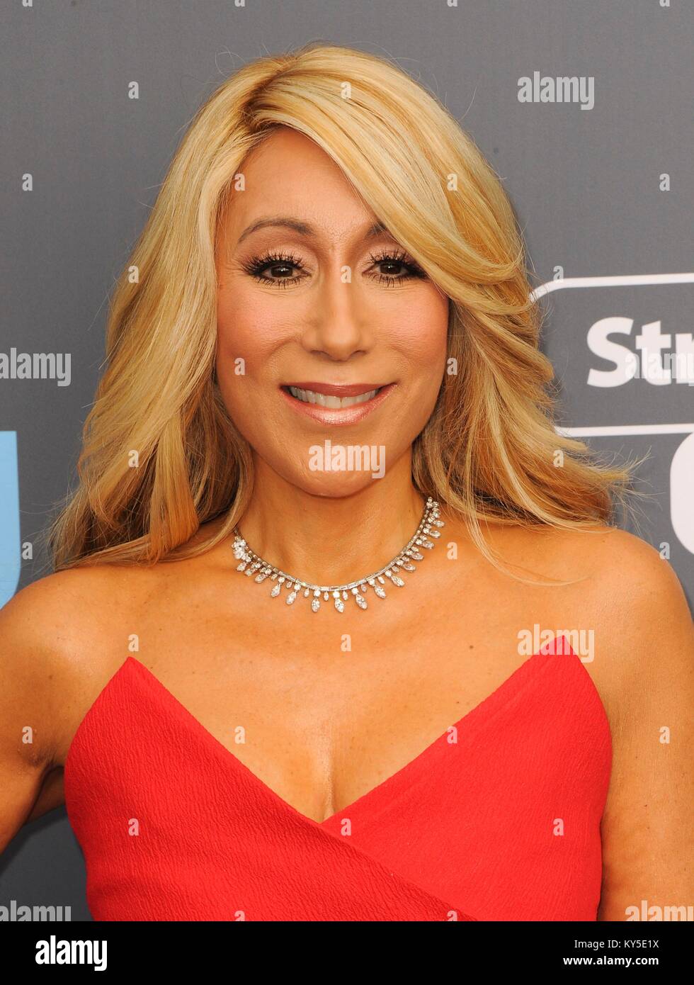 Lori Greiner Background