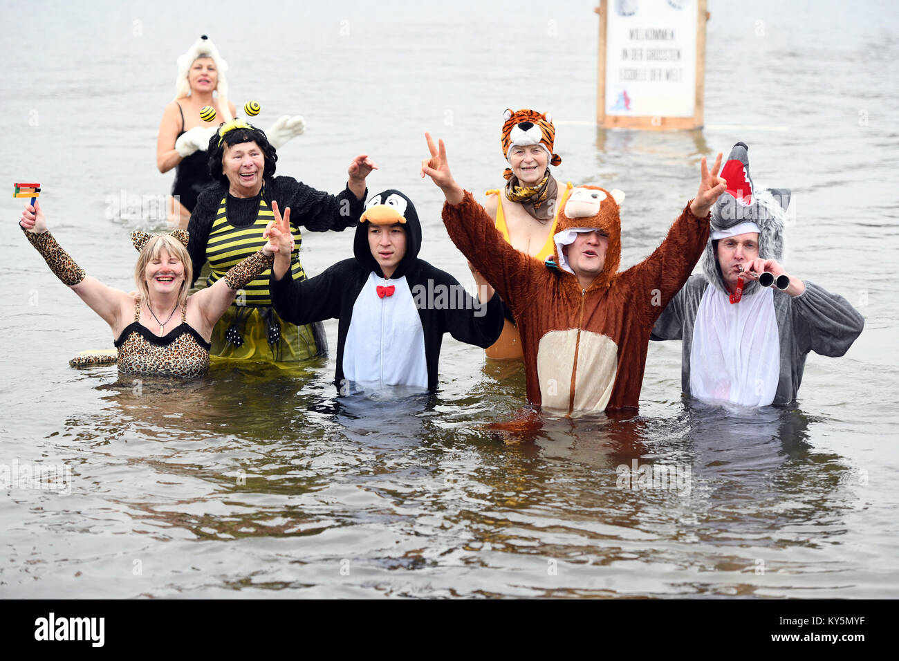 Berlin, Germany, 13 Janaury 2018. Swimmers in costumes in 2-degrees ...