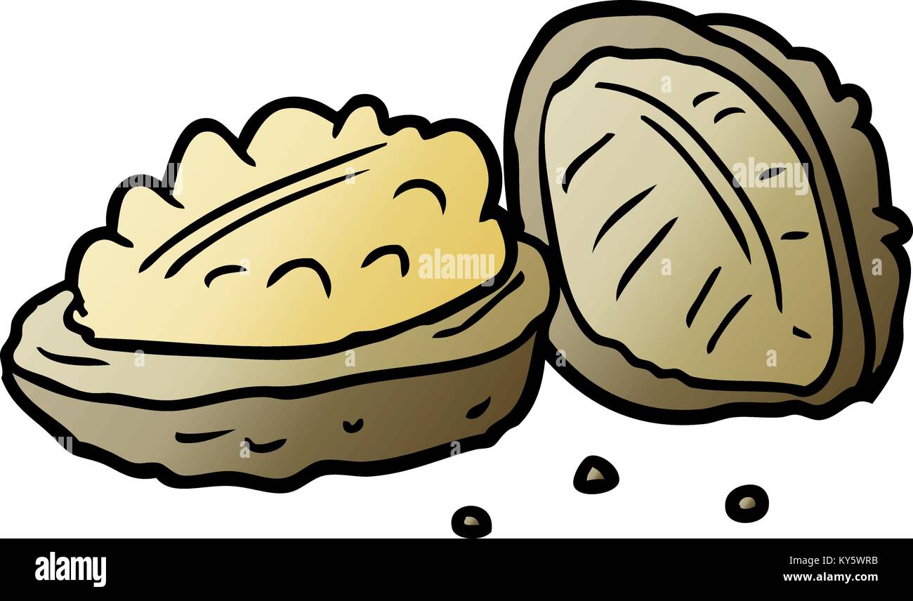 Walnuts shells Stock Vector Images - Alamy