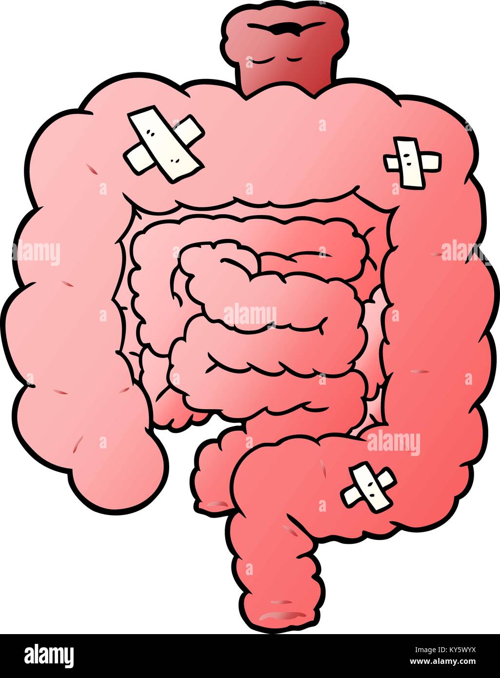 cartoon repaired intestines Stock Vector Image & Art - Alamy