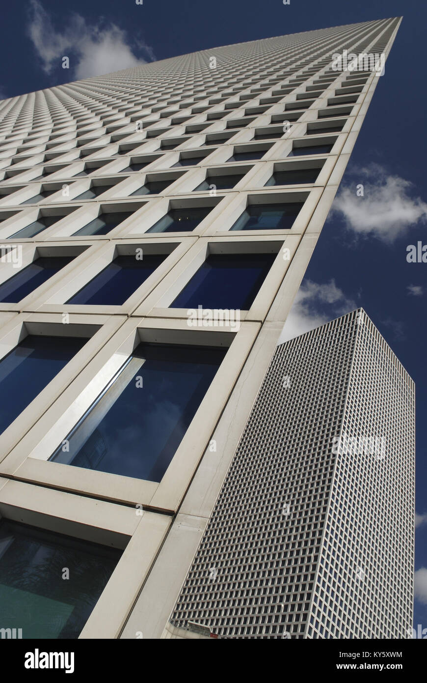 Photography Proportion