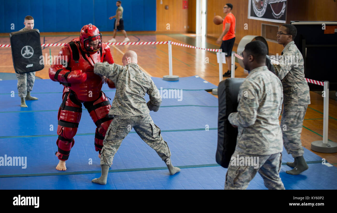 Potential U.S. Air Force 35th Security Forces Squadron augmentees ...