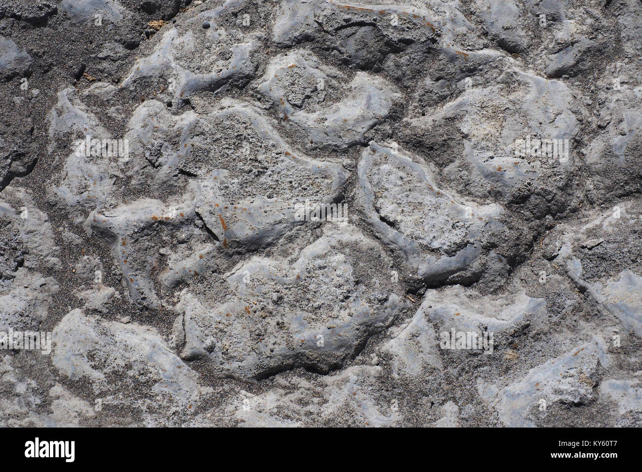 Abstract design background from the surface of the earth, covered with ...