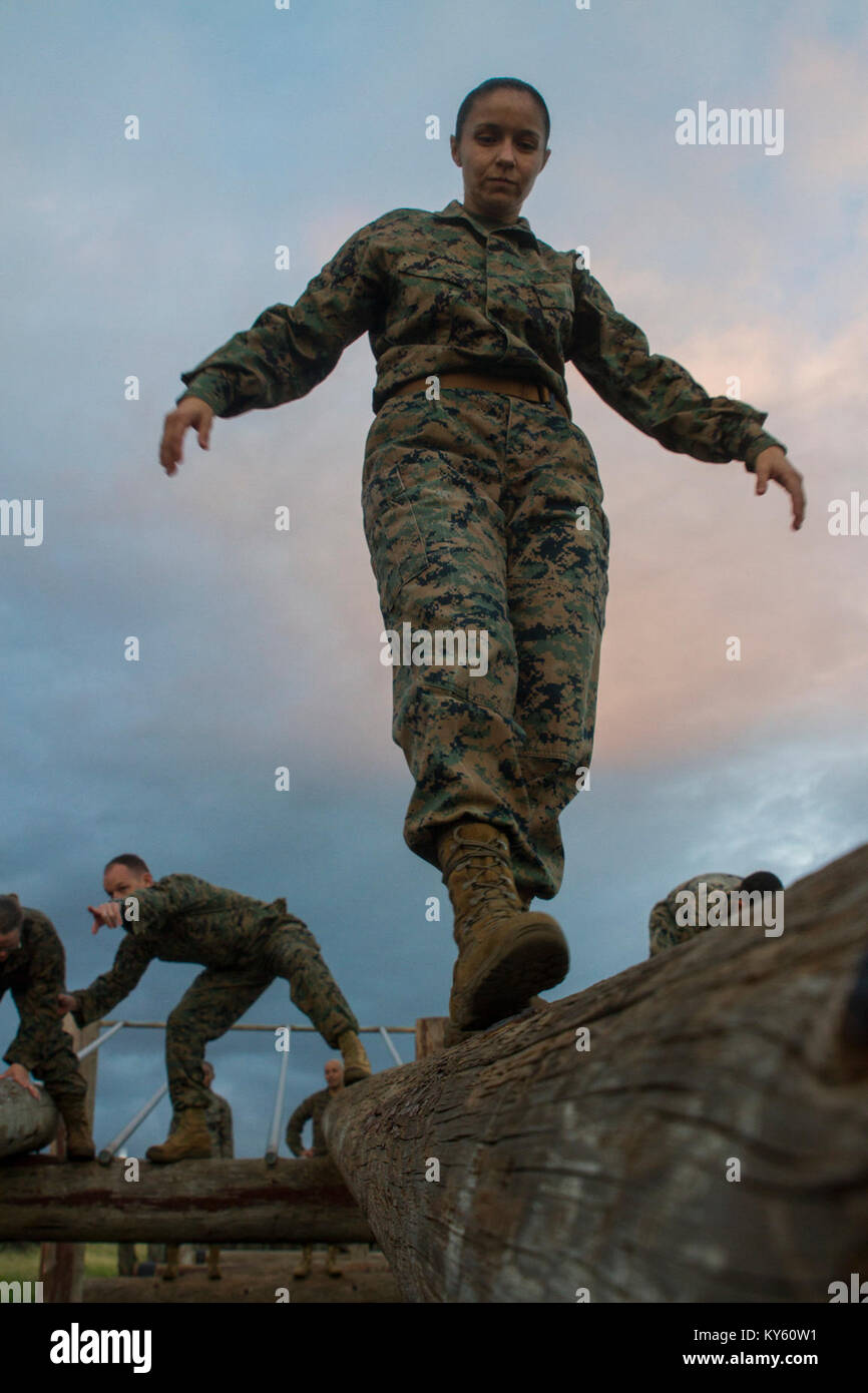 Gunnery Sgt. Ida Mareno, the S-1 chief for Headquarters Battalion ...
