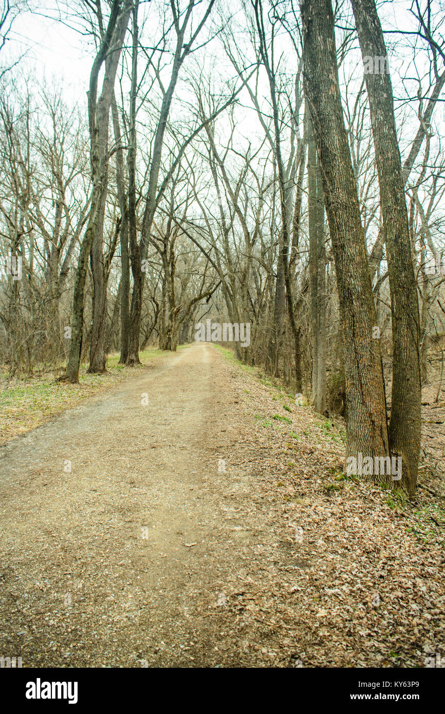 A walking and bike path through the forest Stock Photo - Alamy