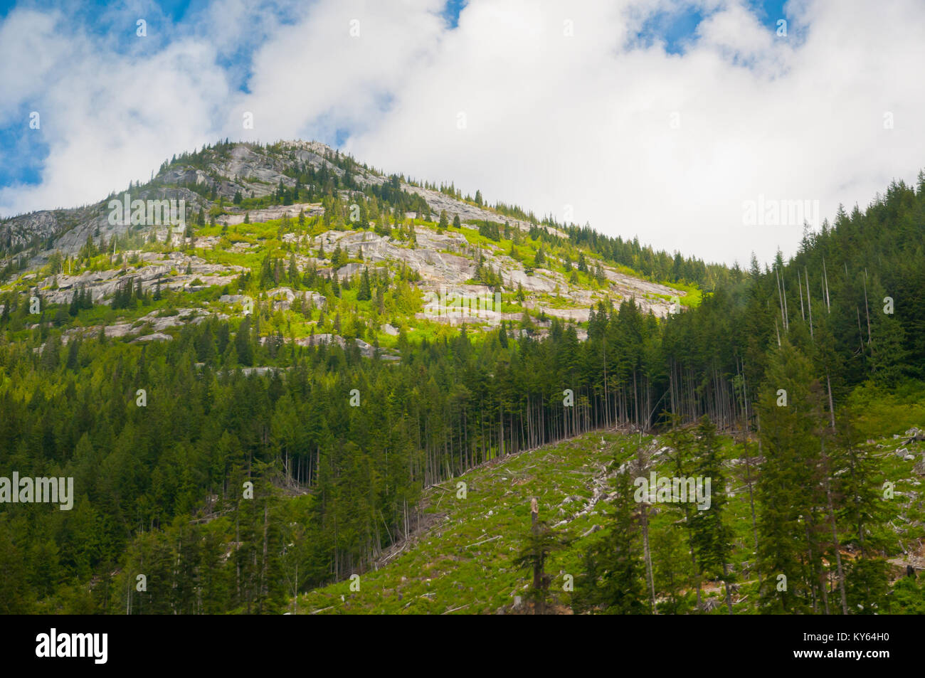 Beautiful green landscape with trees dotting majestic mountain in ...