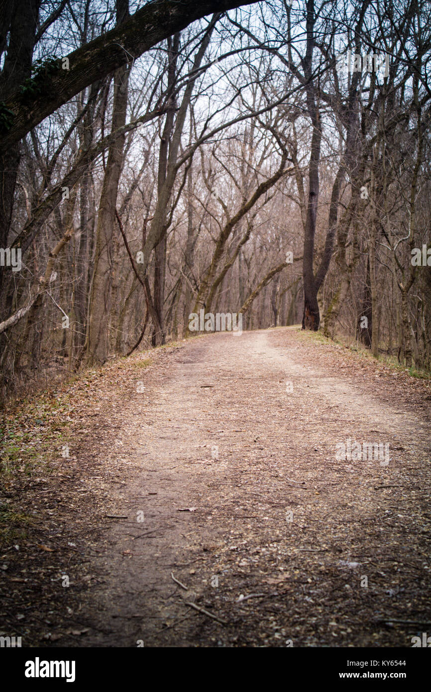 A walking and bike path through the forest Stock Photo - Alamy