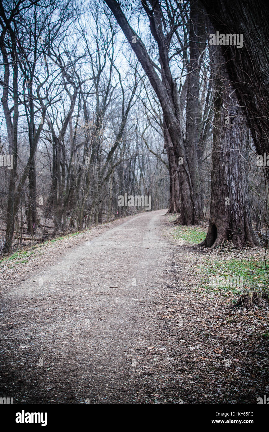 A walking and bike path through the forest Stock Photo - Alamy