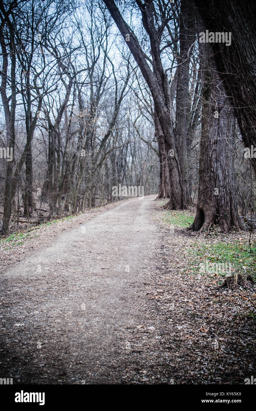 A walking and bike path through the forest Stock Photo - Alamy