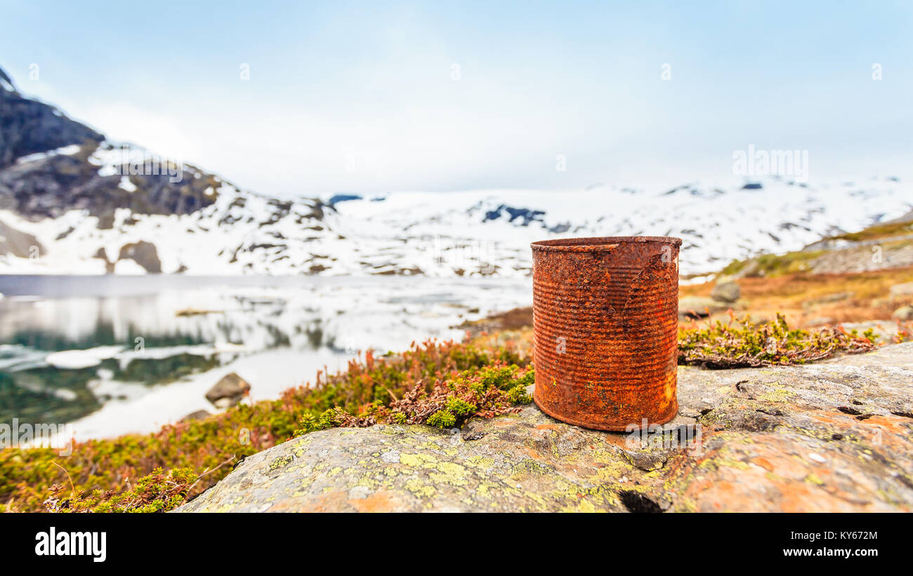Polluted nature. Old rusty can abandoned on lake shore, beautiful ...