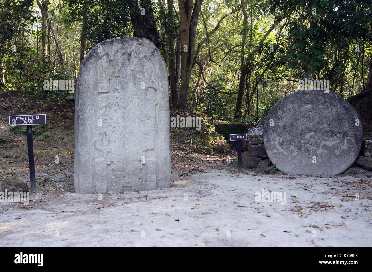 Big old stones with letters in Tikal, Guatemala Stock Photo - Alamy