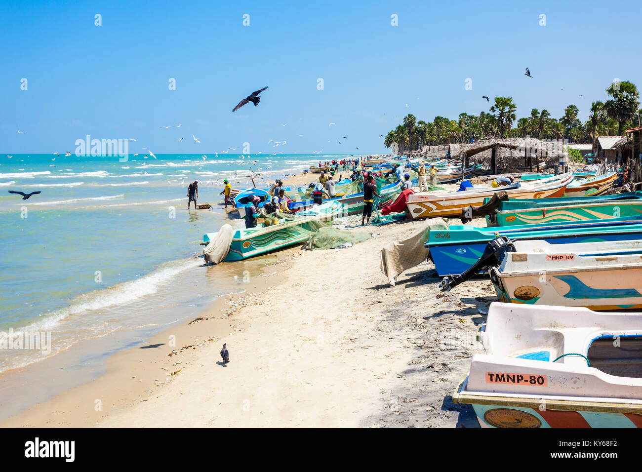 TALAIMANNAR, SRI LANKA - FEBRUARY 12, 2017: Fishermans at the ...
