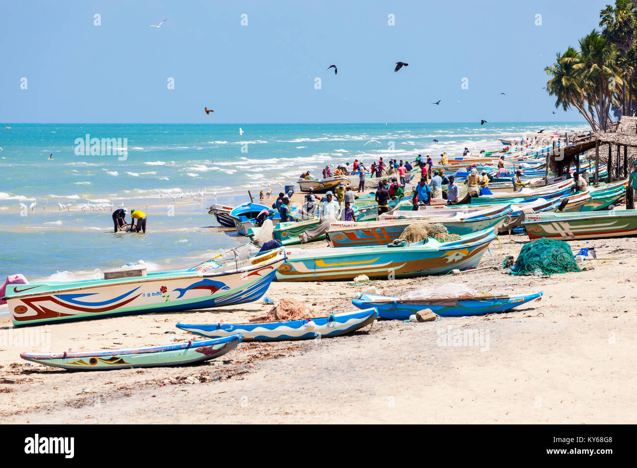 Tamil from sri lanka hi-res stock photography and images - Alamy