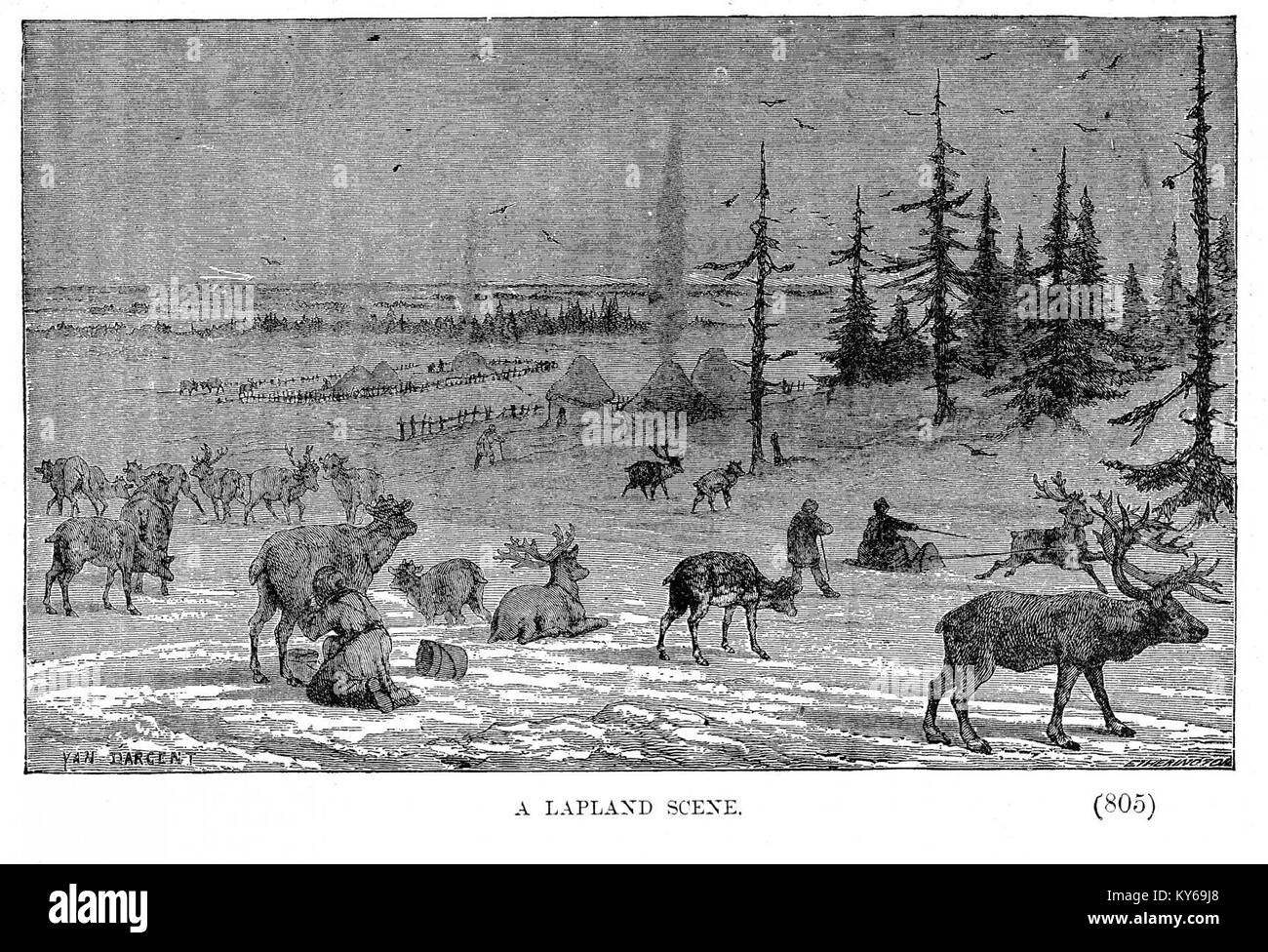 Vintage etch drawing of Lapland Inuit winter reindeer scene Stock Photo ...