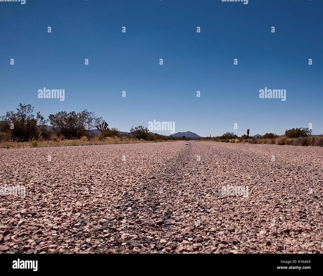 A close up view of a paved road in the Mojave desert in southern ...