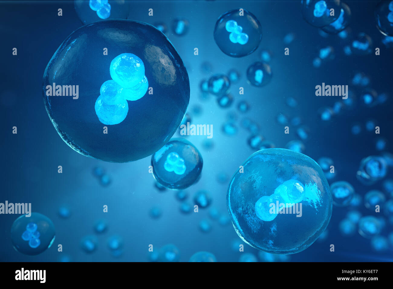 Human or animal cells on blue background. Concept Early stage embryo ...