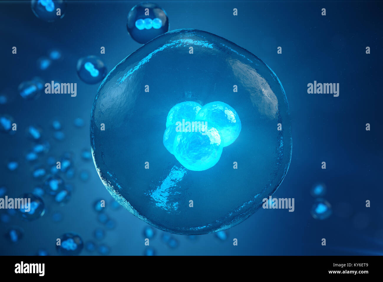 Human or animal cells on blue background. Concept Early stage embryo ...