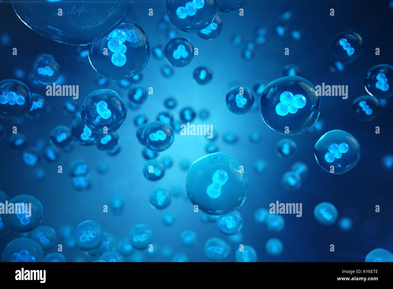 Human or animal cells on blue background. Concept Early stage embryo ...