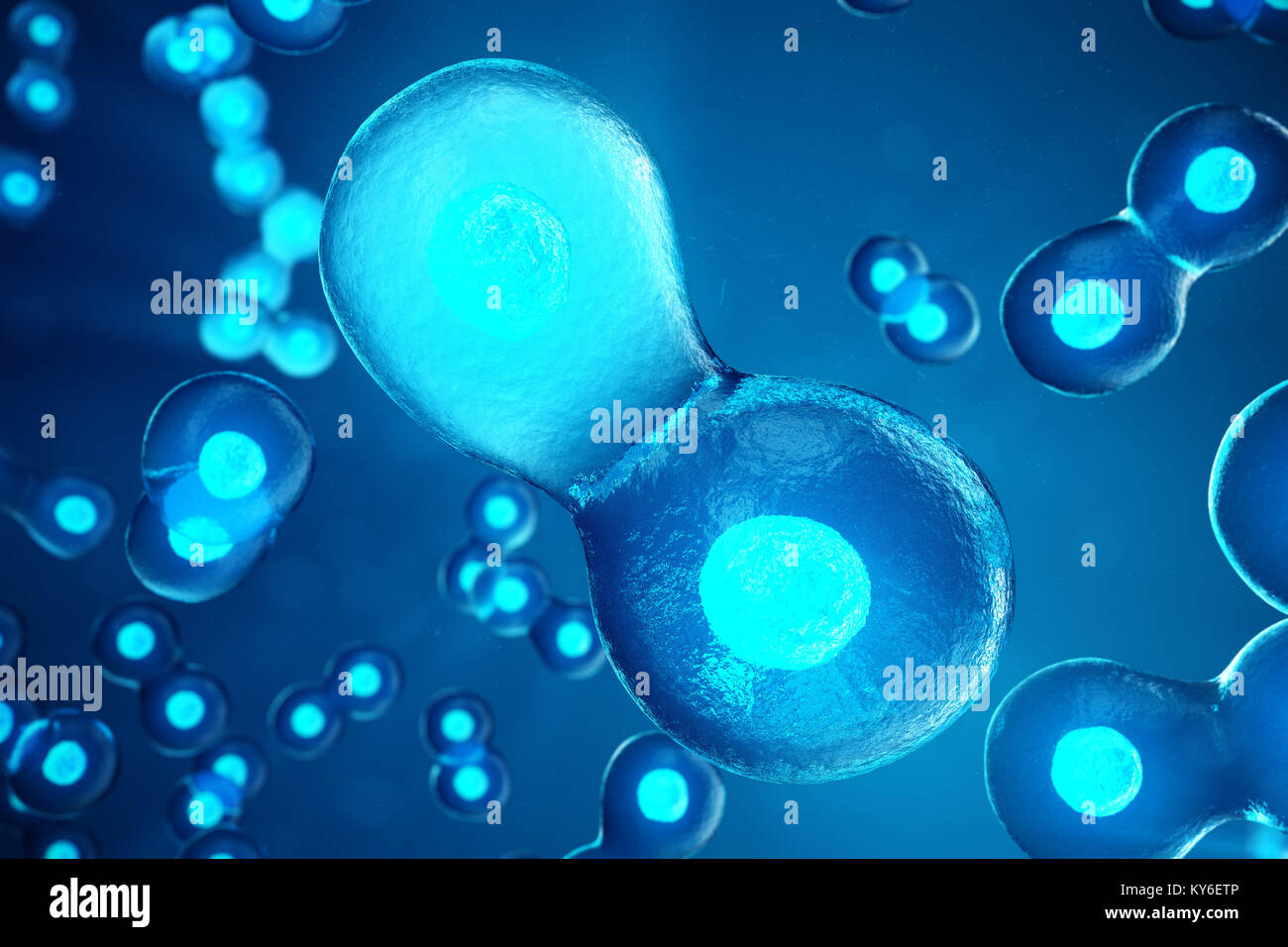 Human or animal cells on blue background. Concept Early stage embryo ...