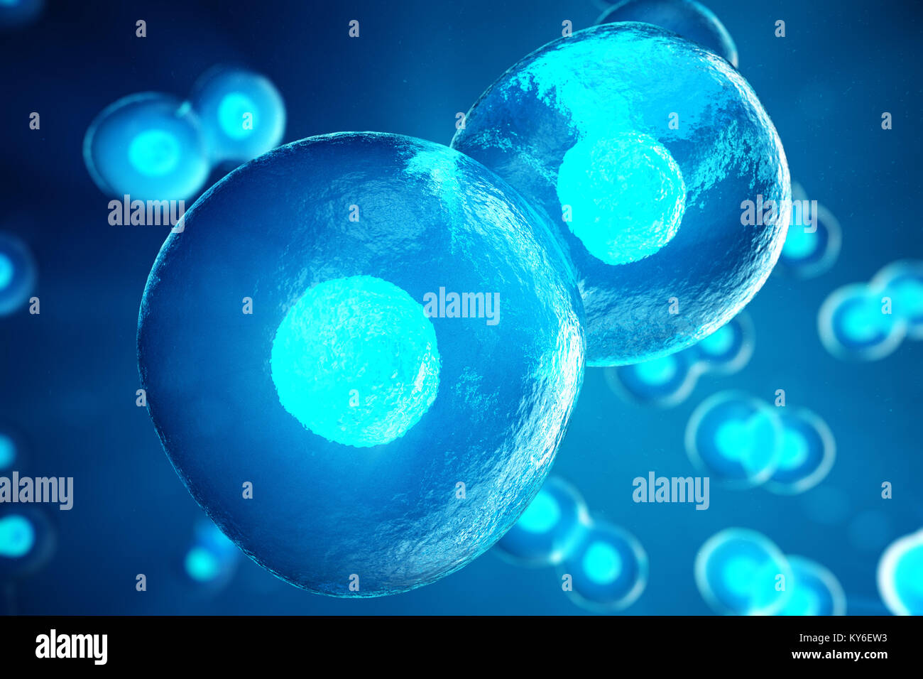Human or animal cells on blue background. Concept Early stage embryo ...