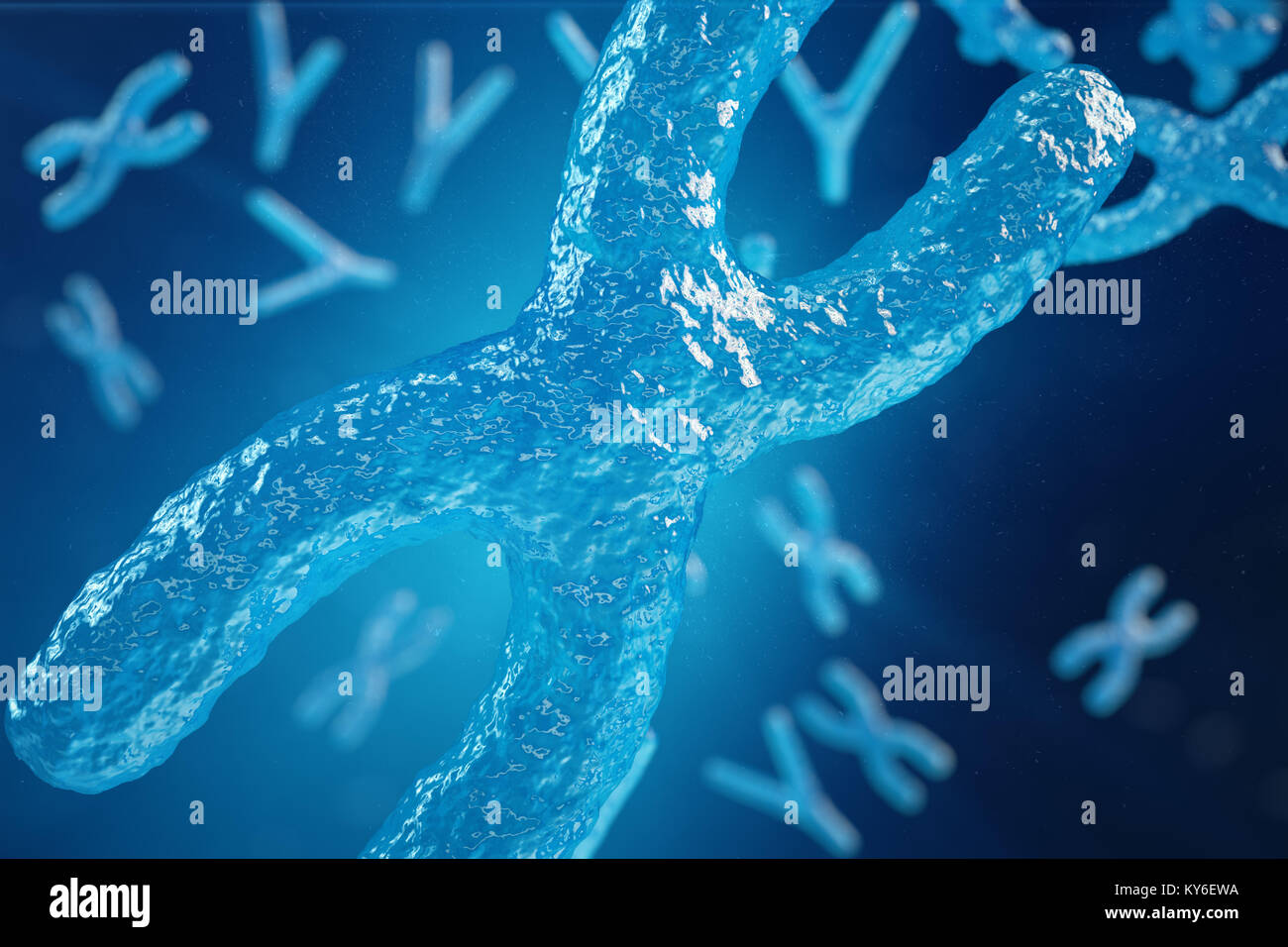 3D illustration XY-chromosomes as a concept for human biology medical ...