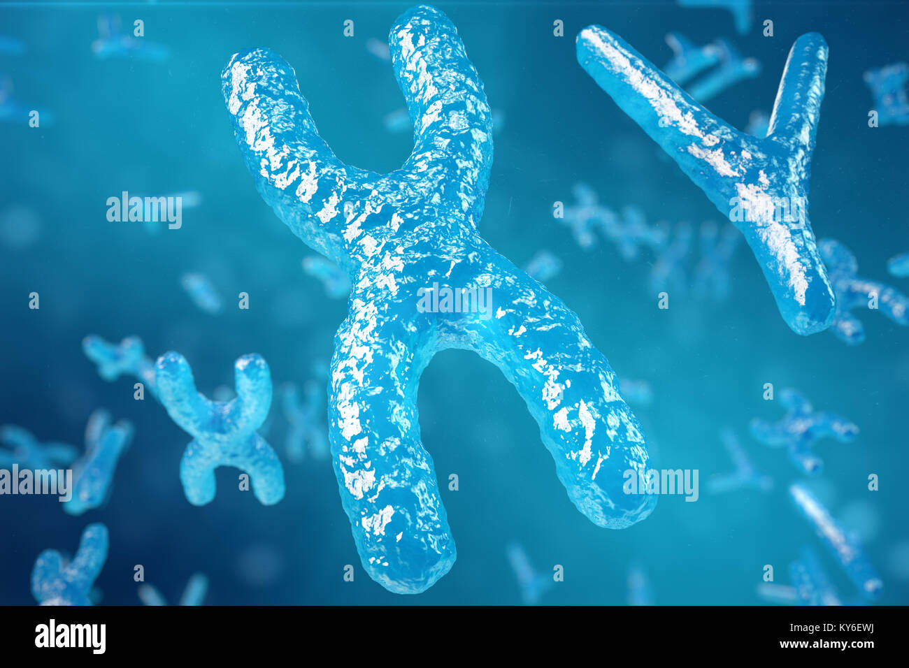 Human xy chromosomes hi-res stock photography and images - Alamy
