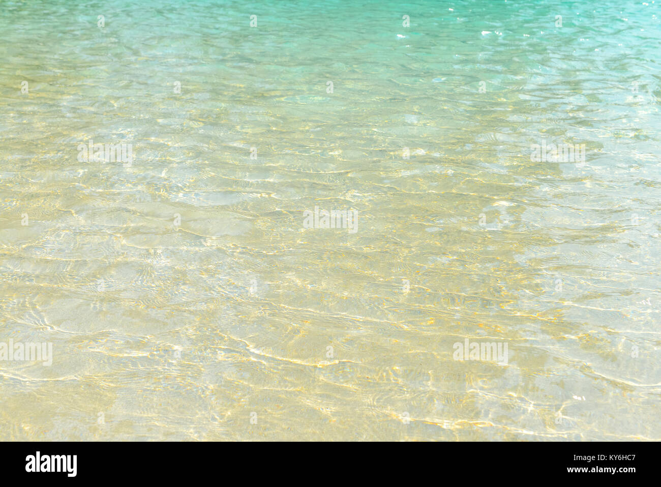Swimming pool blue water with a wave and sunlight reflection effect ...