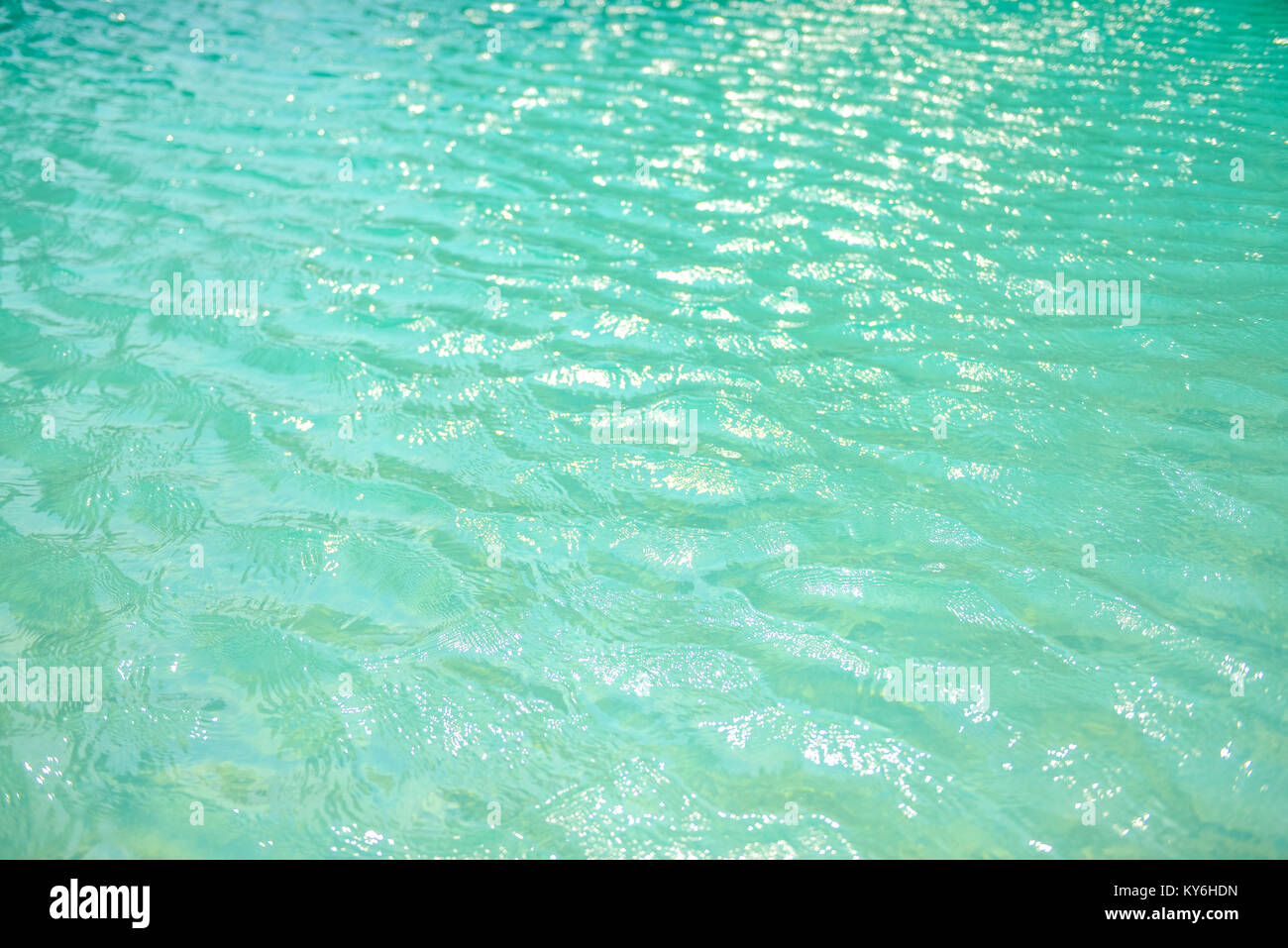Swimming pool blue water with a wave and sunlight reflection effect ...