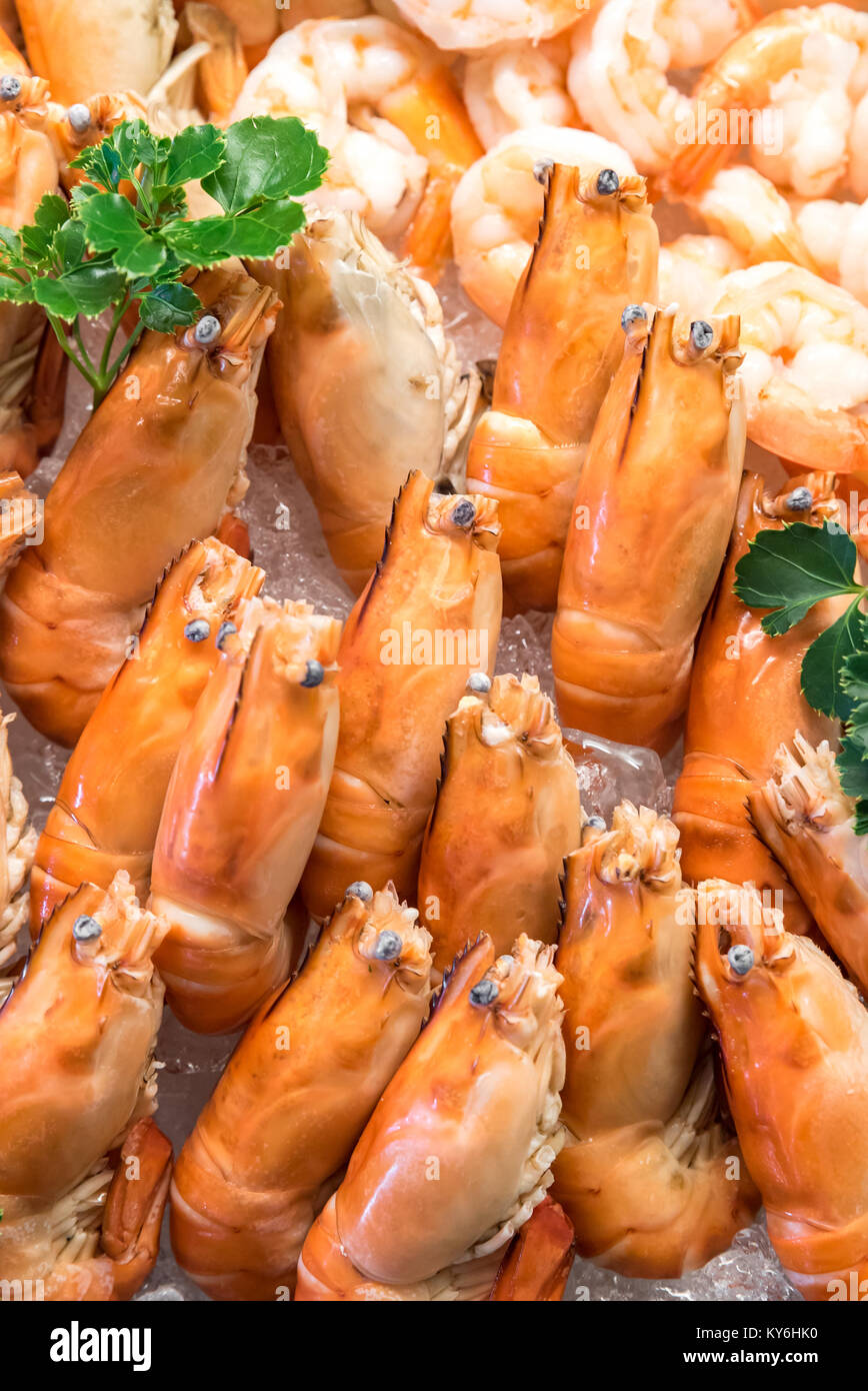 Freshly cooked prawns - shrimp on ice Stock Photo - Alamy