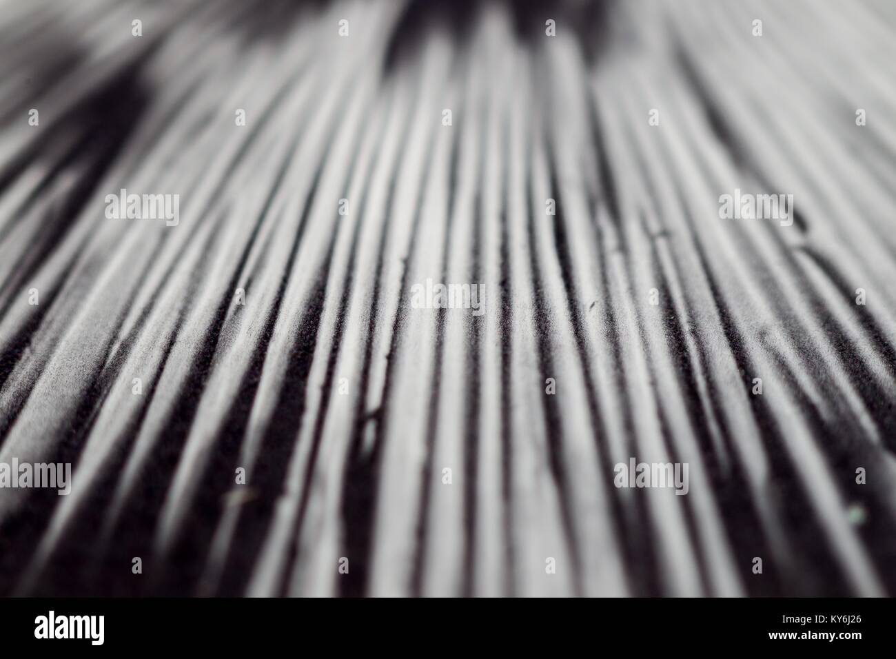 Mushroom spore print hi-res stock photography and images - Alamy