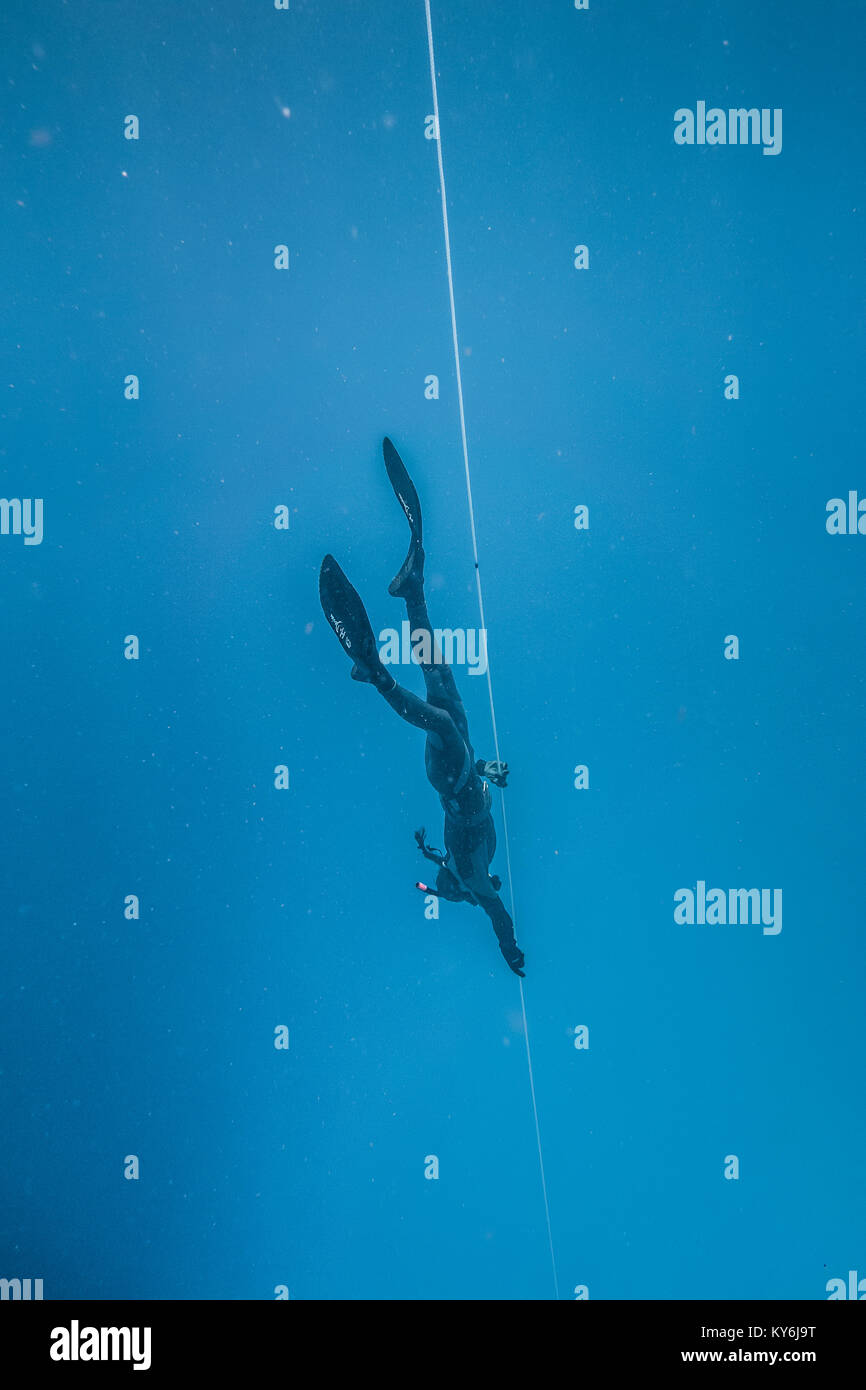 Free diver ascending to the surface hi-res stock photography and images ...