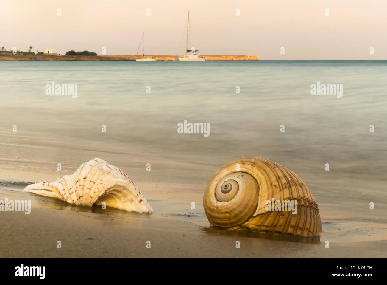 Two seashells against a beautiful background at Paros island in Greece ...