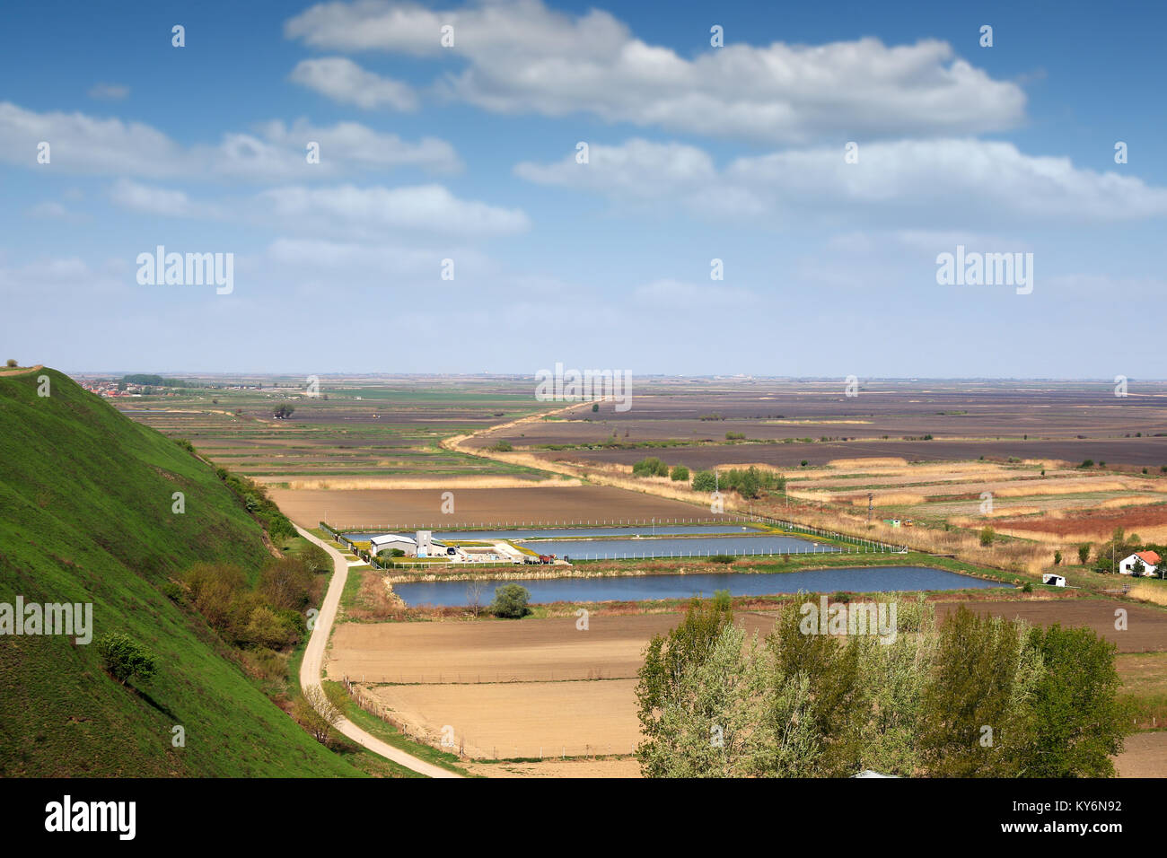 farm with fish pond landscape Stock Photo - Alamy