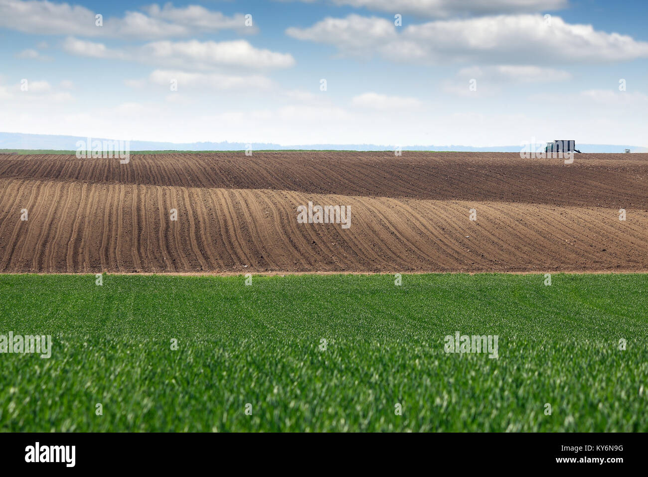 Landscape wheat field green hi-res stock photography and images - Alamy