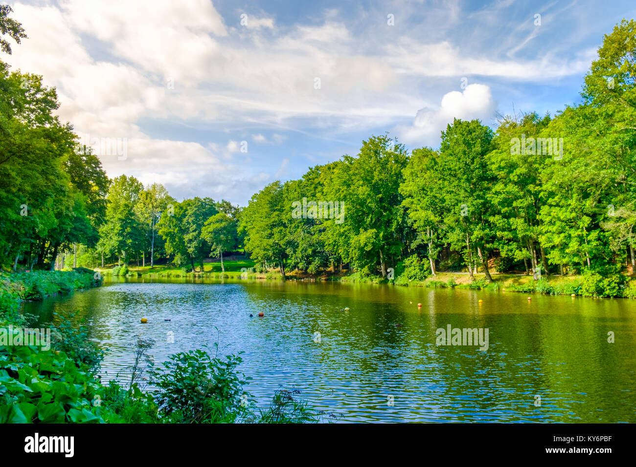 France normandy forest hi-res stock photography and images - Alamy