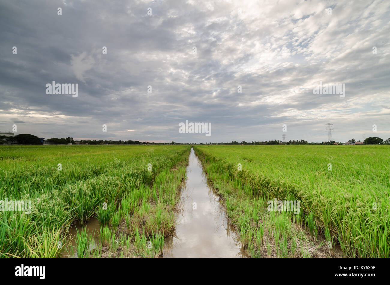 Kedah hi-res stock photography and images - Alamy