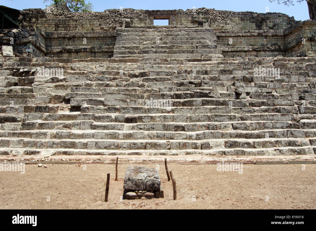 Wide staircase of mayan pyramid in Copan, Honduras Stock Photo - Alamy