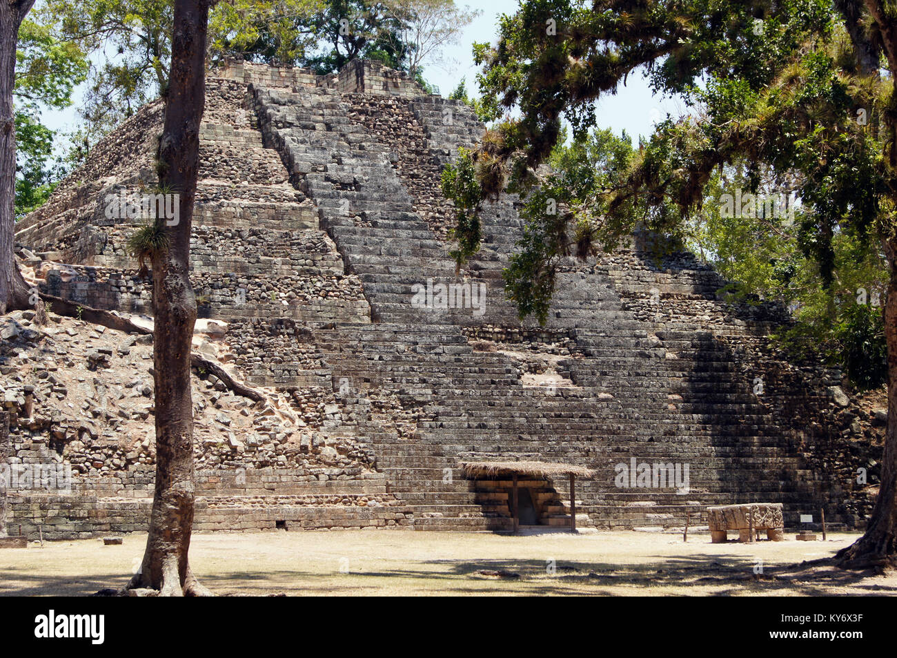 Pyramid with staircase and trees in Copan, Honduras Stock Photo - Alamy