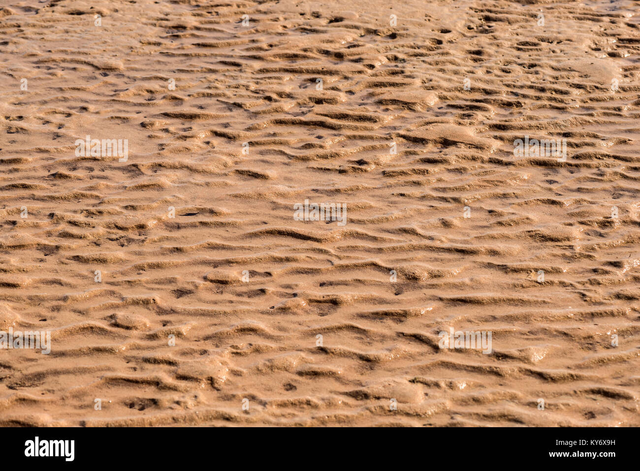 Wavy sand texture hi-res stock photography and images - Alamy
