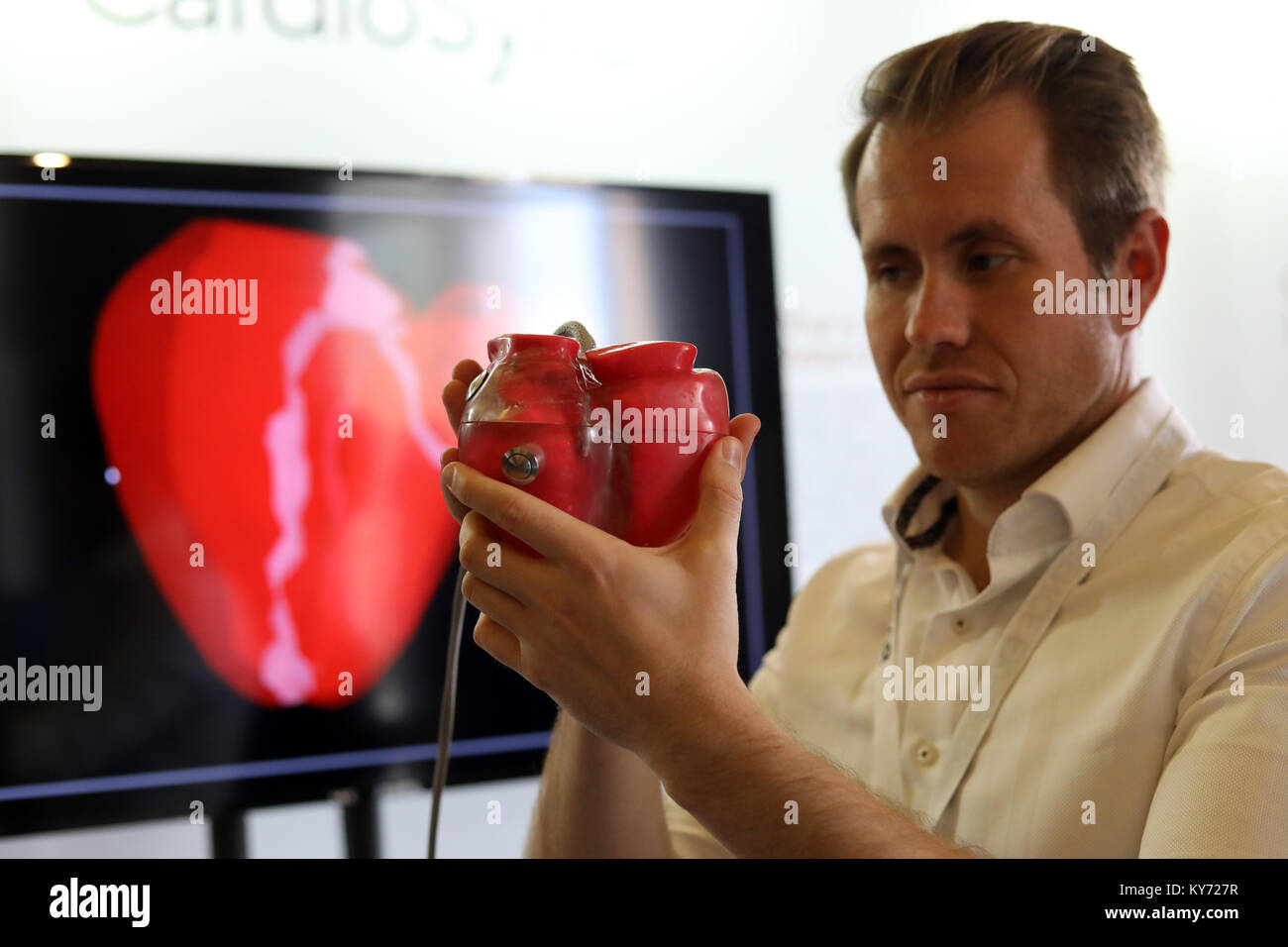 man holding plastic model of a human heart Stock Photo - Alamy