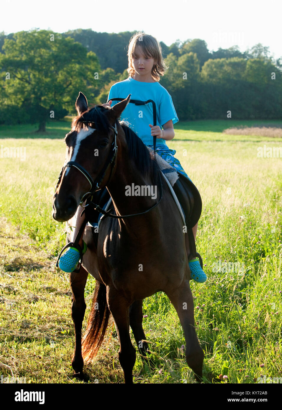 Boy in a Saddle of Horse Learning Horseback Riding Stock Photo - Alamy