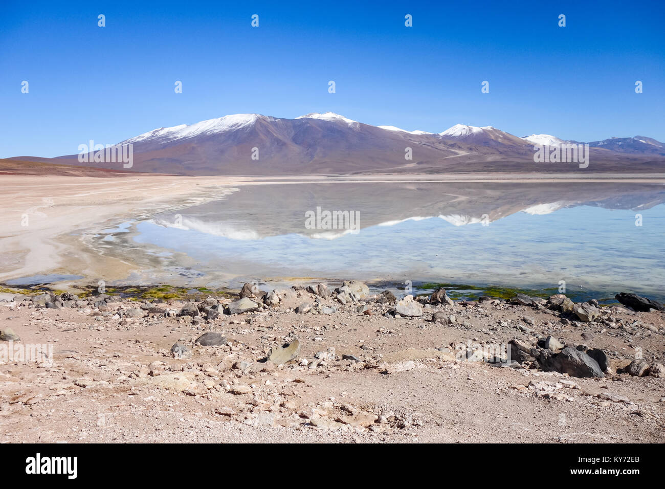 Clear altiplano laguna in sud Lipez reserva Eduardo Avaroa, Bolivia ...